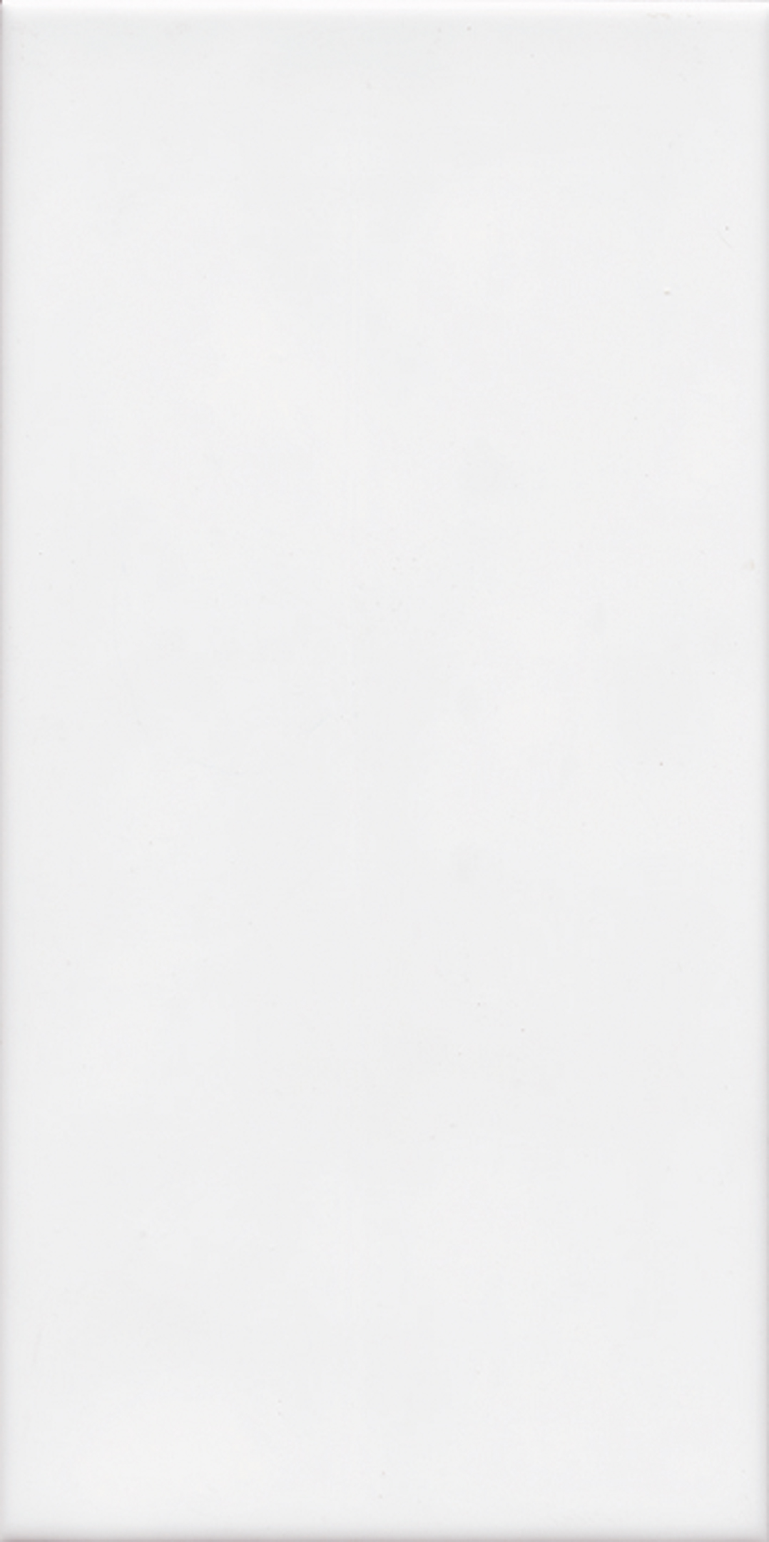 revigres branco mate gerectificeerd 30x60